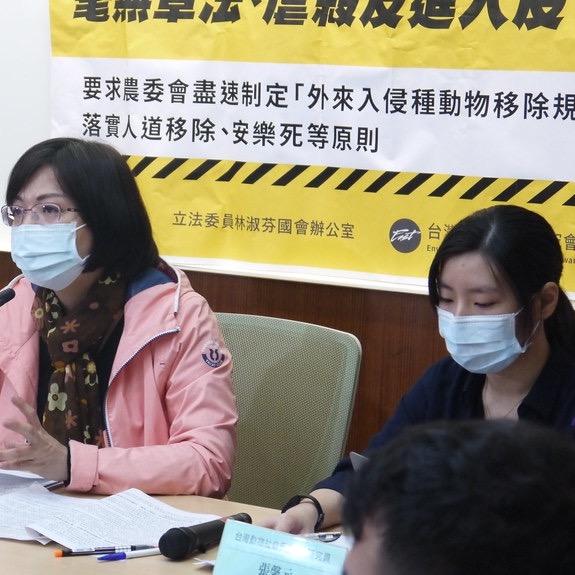 張馨元 Hsin-Yuan Michelle Chang | YouTube, Instagram, Twitter | 傳送門