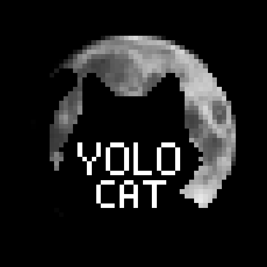 YOLO Cat Club | YouTube, Instagram, Twitter | Portaly