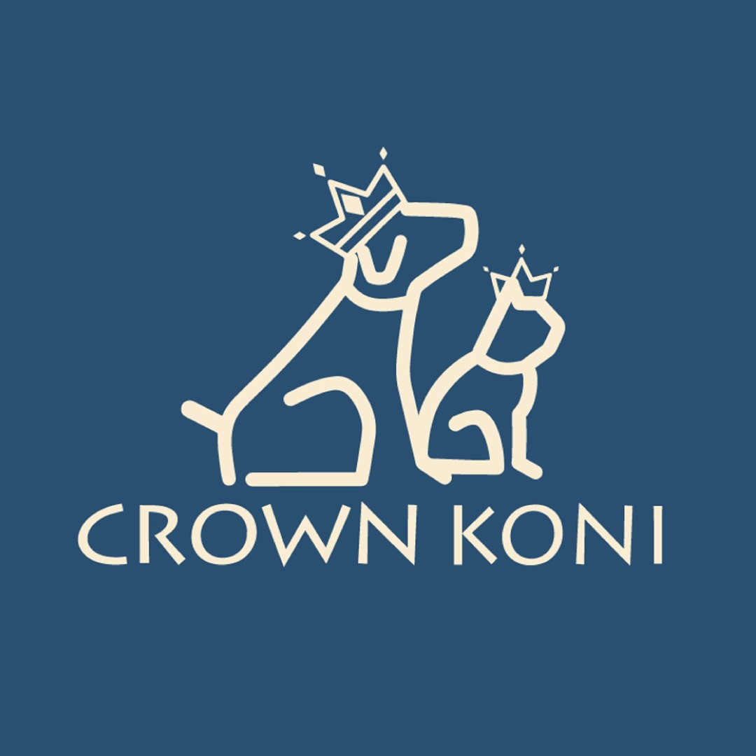 CROWN KONI | TikTok, Instagram, Facebook | Portaly