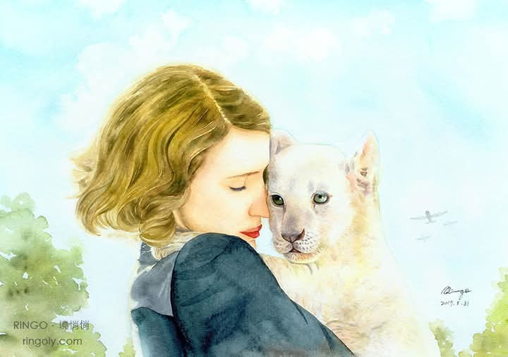 Ringo Lee | YouTube, Instagram, Facebook | Portaly