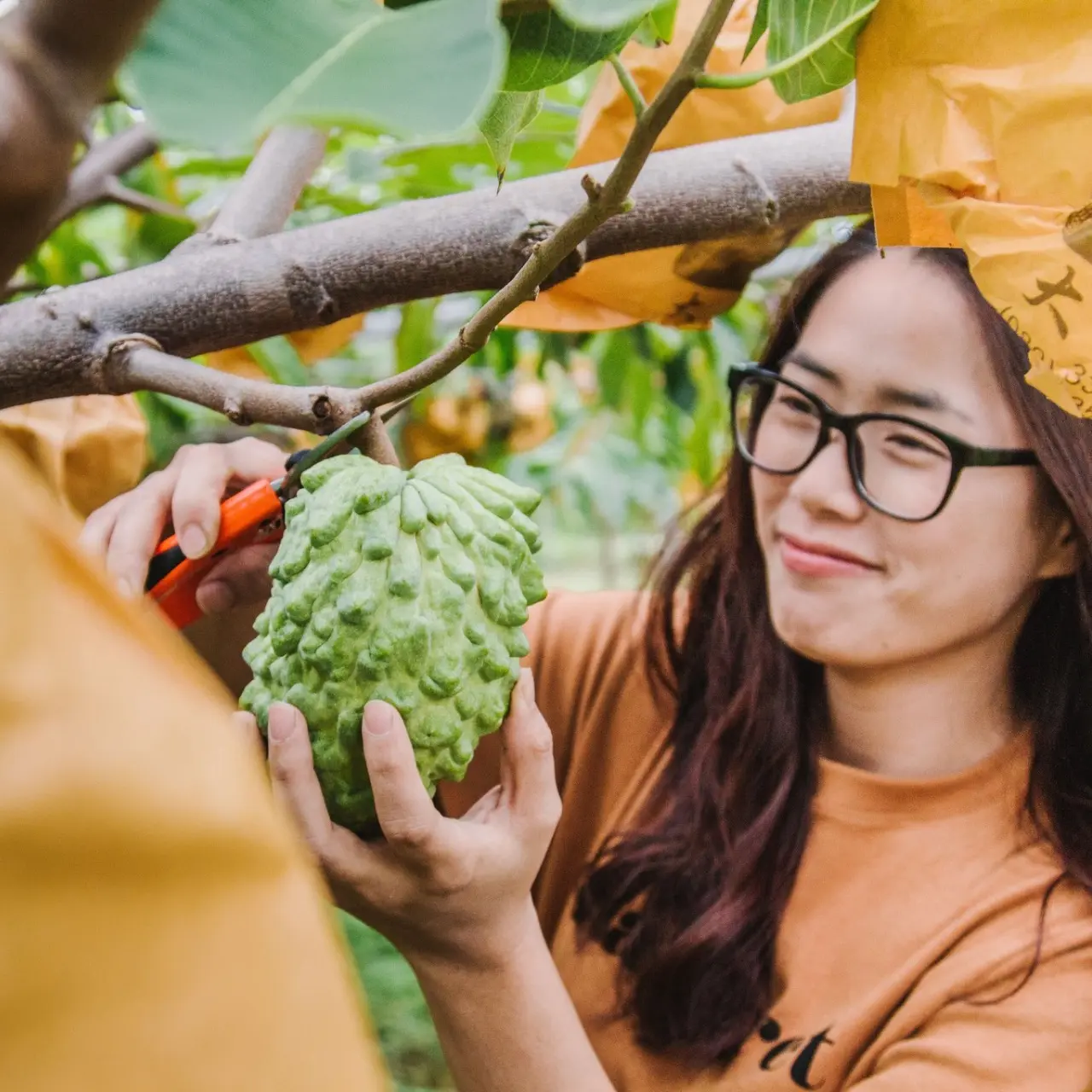 阿淇博士 Dr. Achi | Instagram, Facebook, YouTube | Portaly