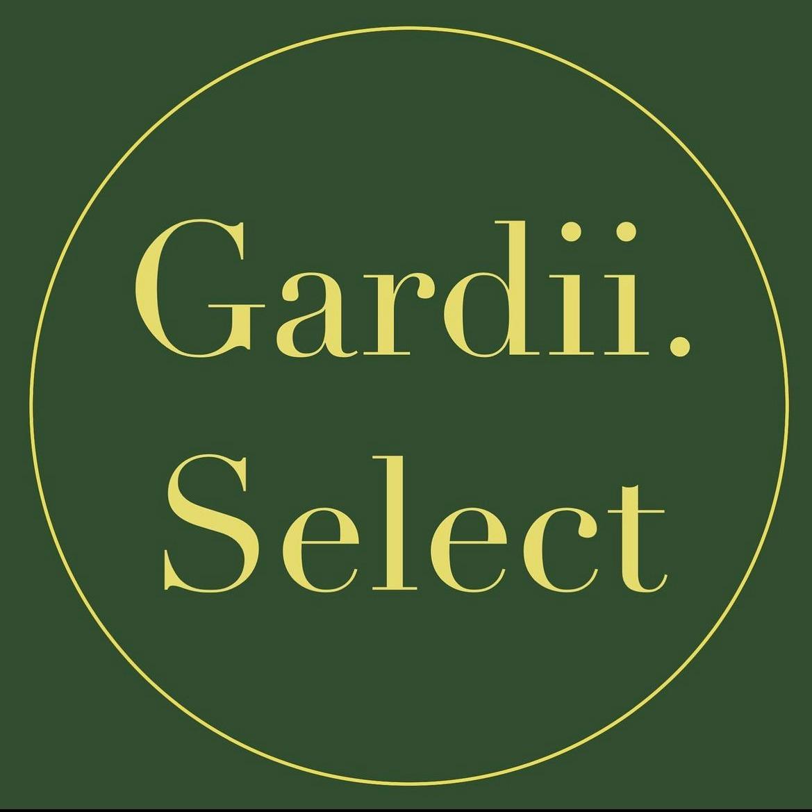 Garcy | Instagram, Facebook, TikTok | Portaly