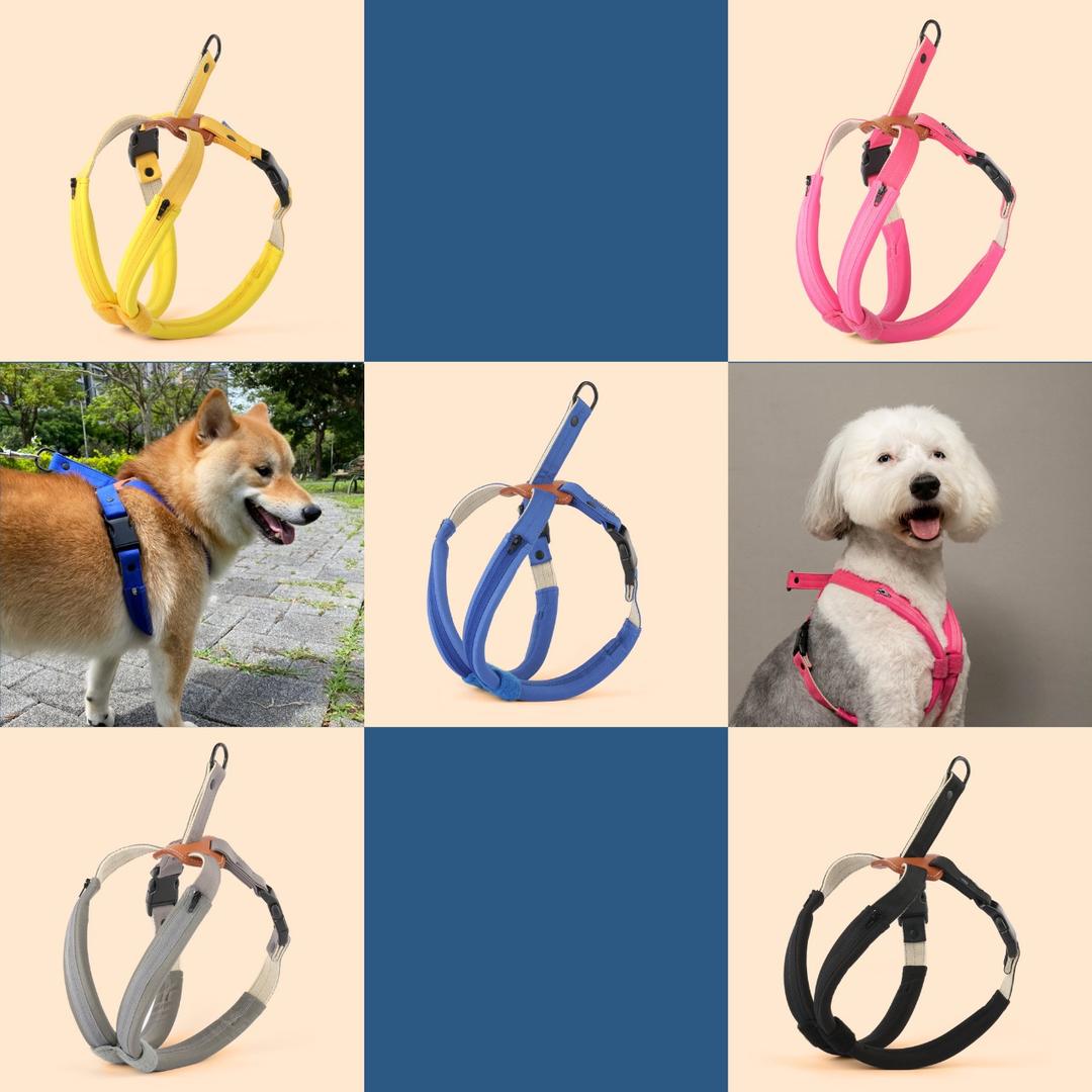 CROWN KONI | TikTok, Instagram, Facebook | Portaly