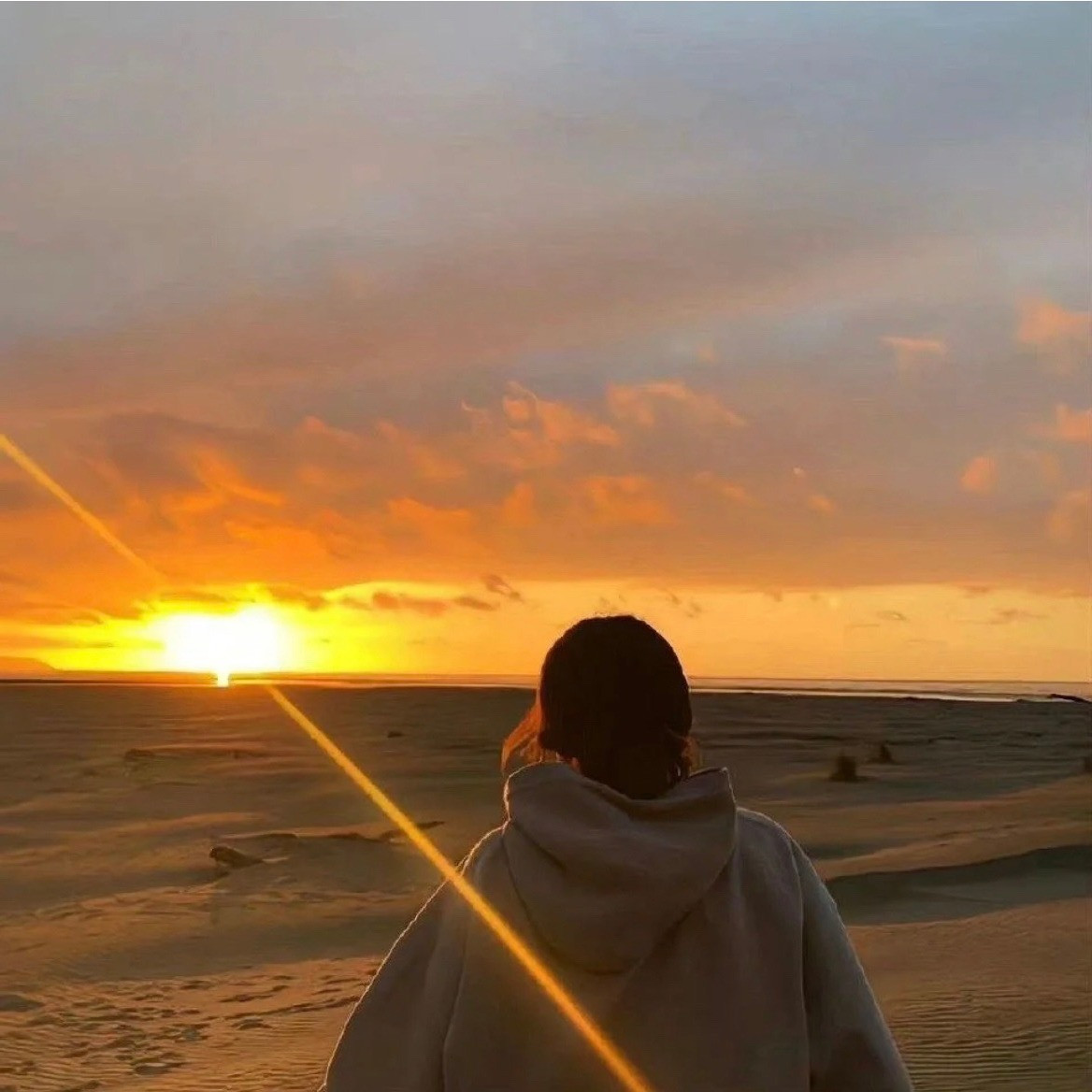 Dawn | Instagram | Portaly
