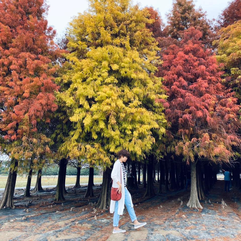 Ana Lin｜安娜的生活有意思 | Podcast, Instagram, Facebook | Portaly