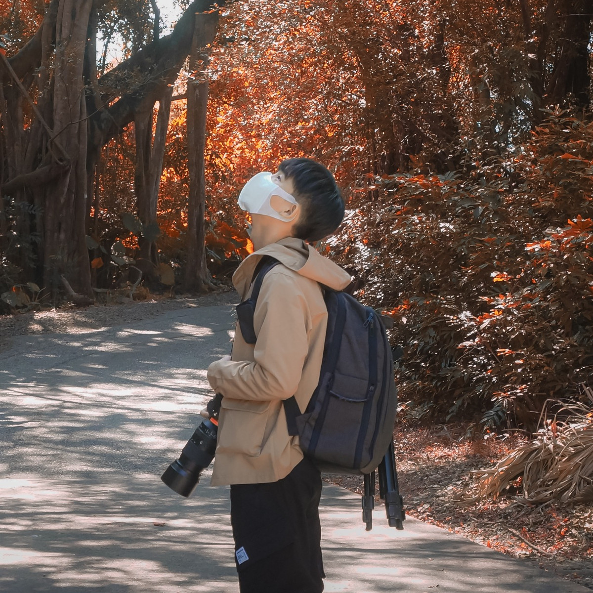 Hins | Instagram | Portaly