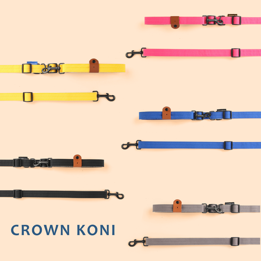 CROWN KONI | TikTok, Instagram, Facebook | Portaly