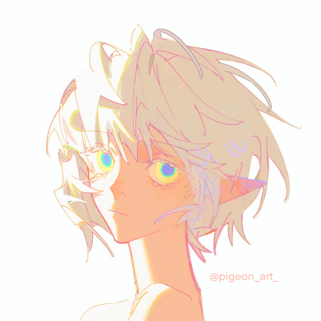 Pigeon | YouTube, Instagram, Twitter | Portaly