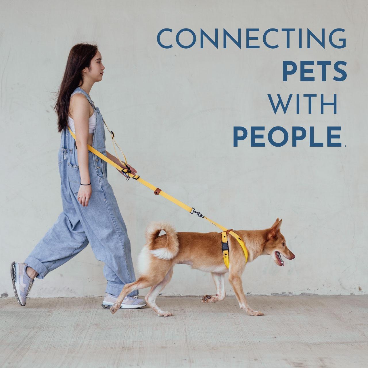 CROWN KONI | TikTok, Instagram, Facebook | Portaly