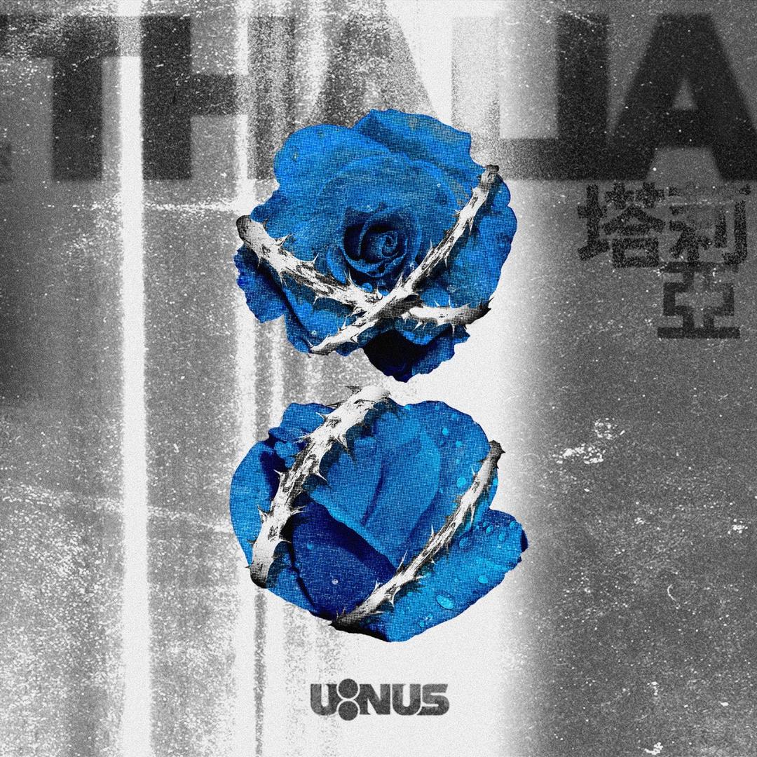 U:NUS | YouTube, Instagram, Facebook | Portaly